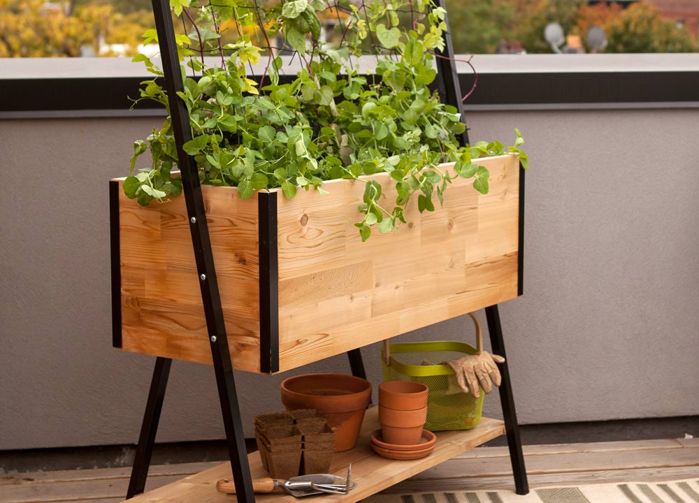 WSMAG.NET BLOG | Grow a Bigger Garden in a Smaller Space | Featured ...