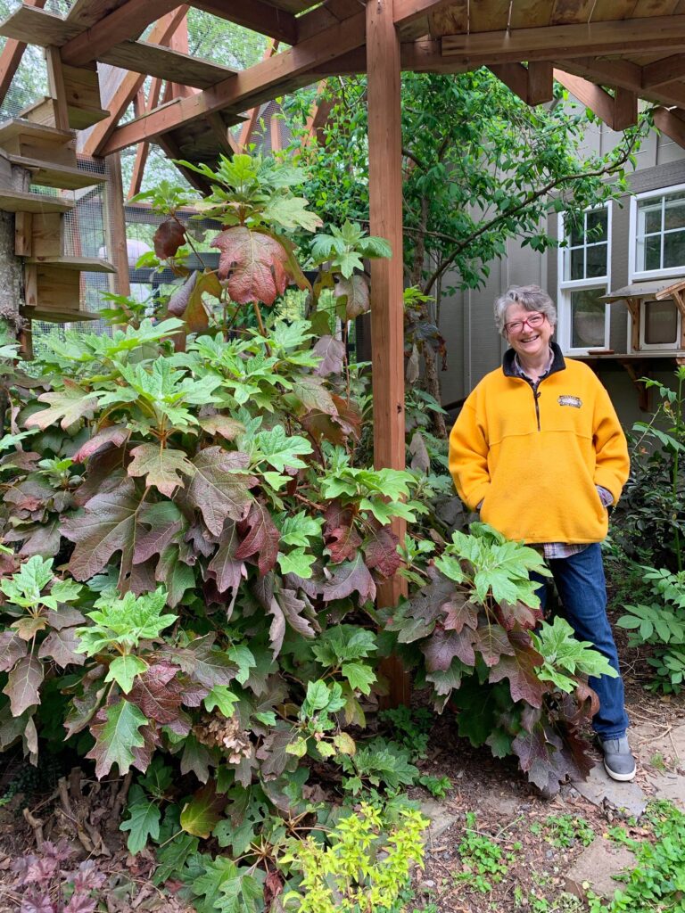 WSMAG.NET | The Garden of Lynn and Jim McIntyre | Featured, The Garden ...