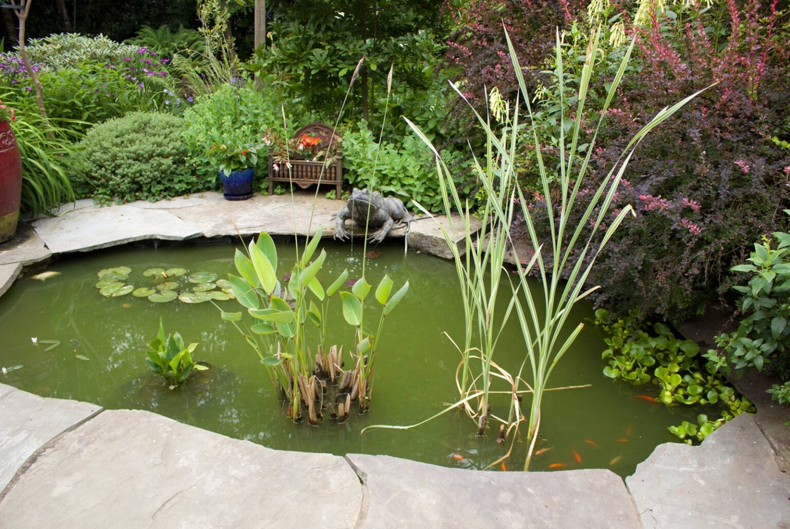 WSMAG.NET | The Garden of Lynn and Jim McIntyre | Featured, The Garden ...