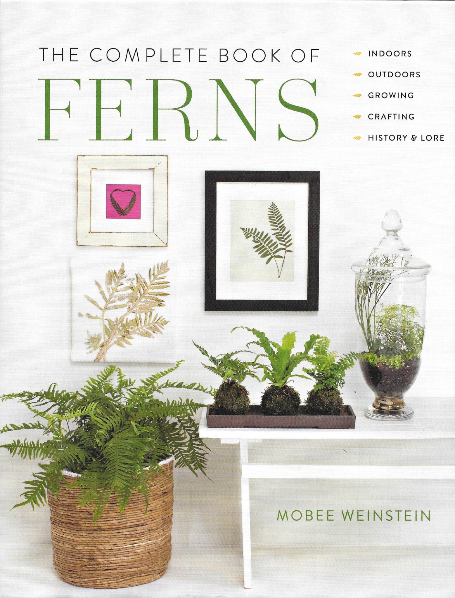 WSMAG.NET | The Complete Book of Ferns | Featured, The Garden | October ...