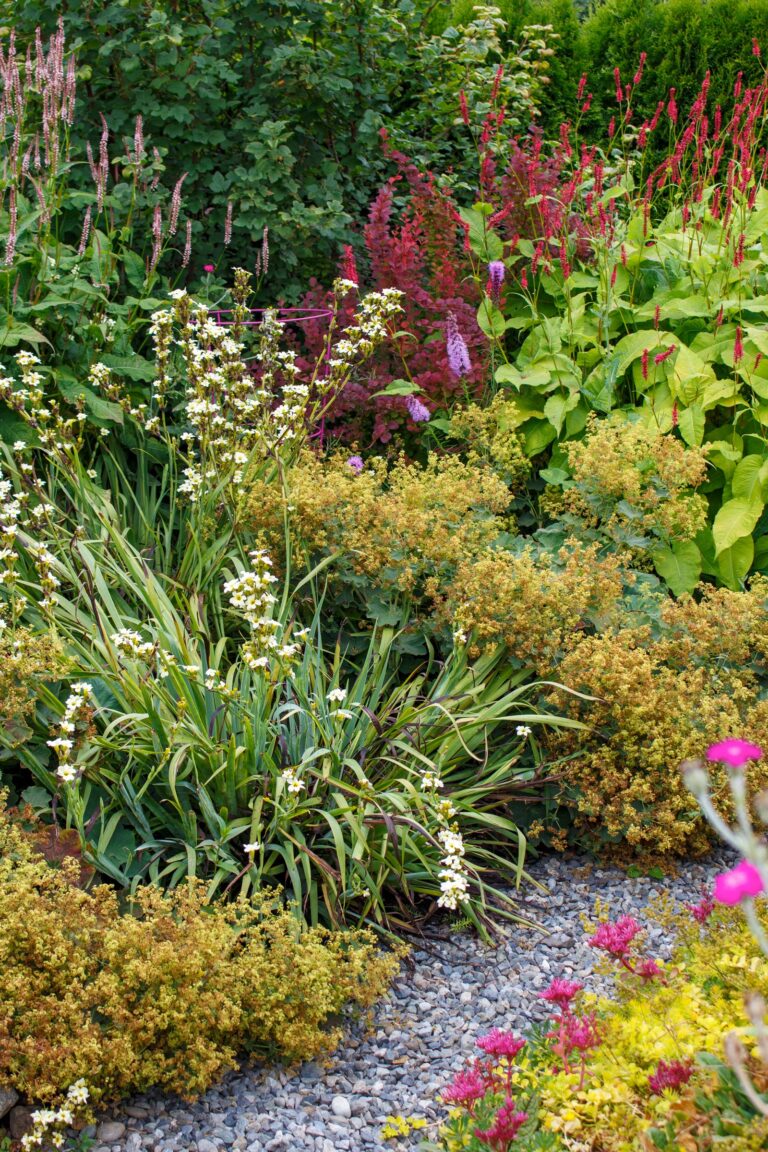 WSMAG.NET | A Garden Cornucopia | Featured, The Garden | November 30 ...