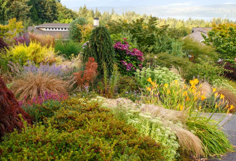 WSMAG.NET | A Garden Cornucopia | Featured, The Garden | November 30 ...