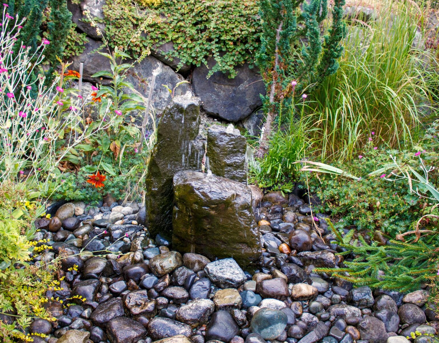 WSMAG.NET | A Garden Cornucopia | Featured, The Garden | November 30 ...