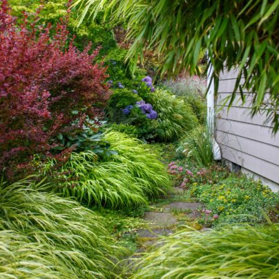 WSMAG.NET | A Garden Cornucopia | Featured, The Garden | November 30 ...