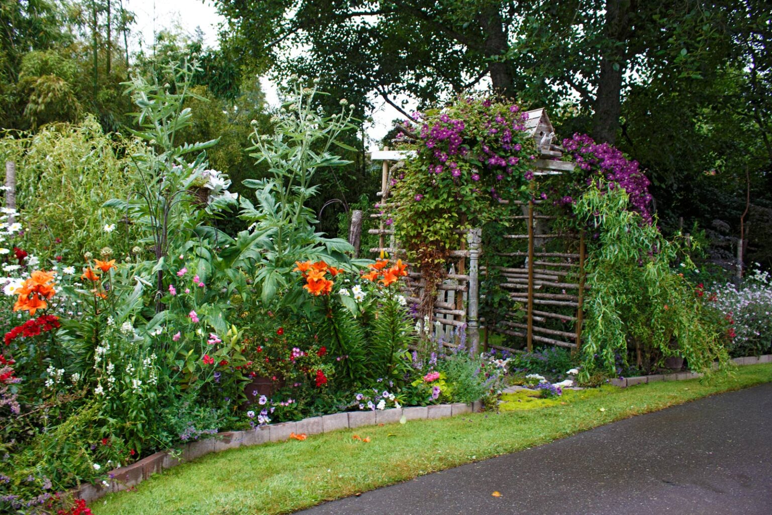 WSMAG.NET | Garden of Delights | Featured, The Garden | November 9 ...