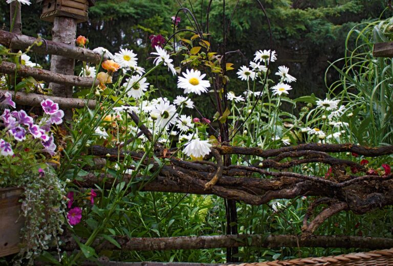 WSMAG.NET | Garden of Delights | Featured, The Garden | November 9 ...