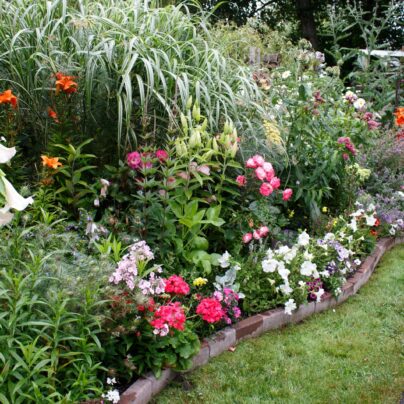 WSMAG.NET | Garden of Delights | Featured, The Garden | November 9 ...