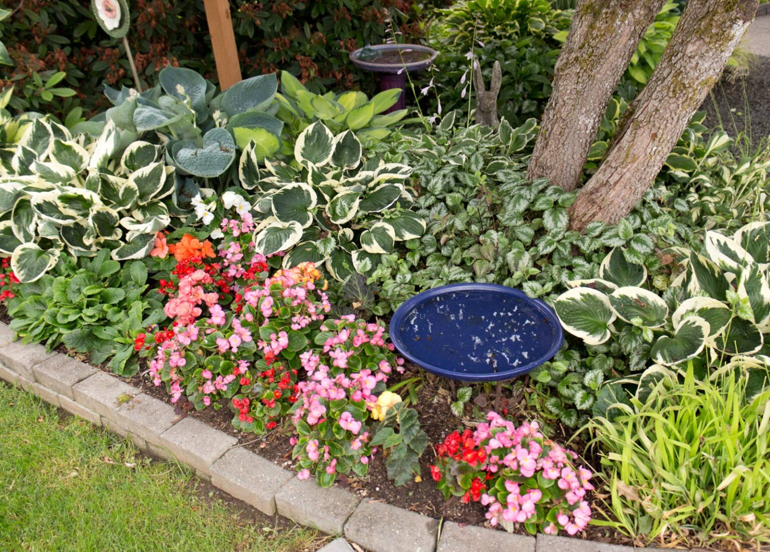 WSMAG.NET | A Lush Garden Makeover | Featured, The Garden | April 1 ...