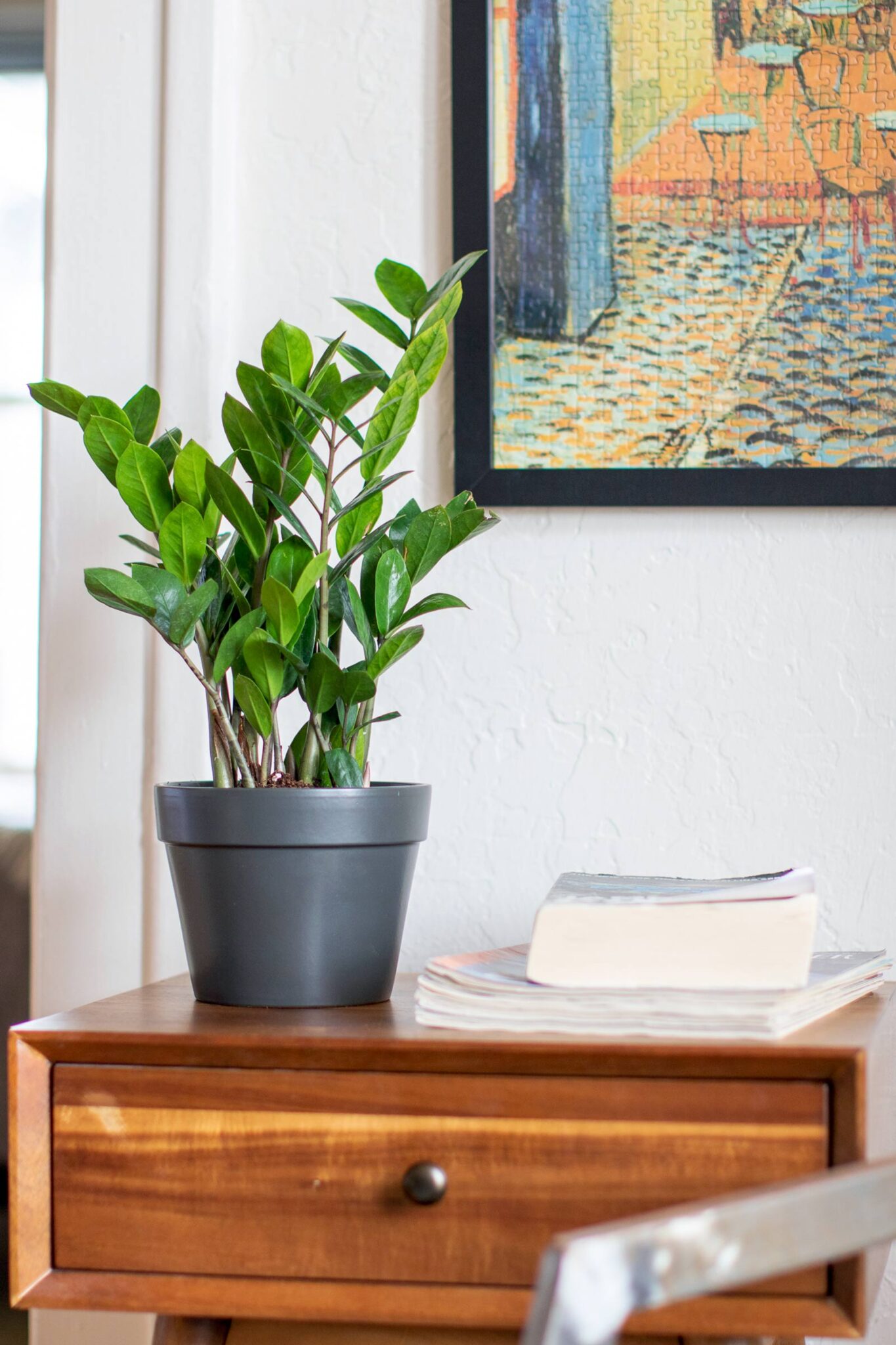 WSMAG.NET BLOG | Add These Indoor Plants for a Better Yoga Experience ...