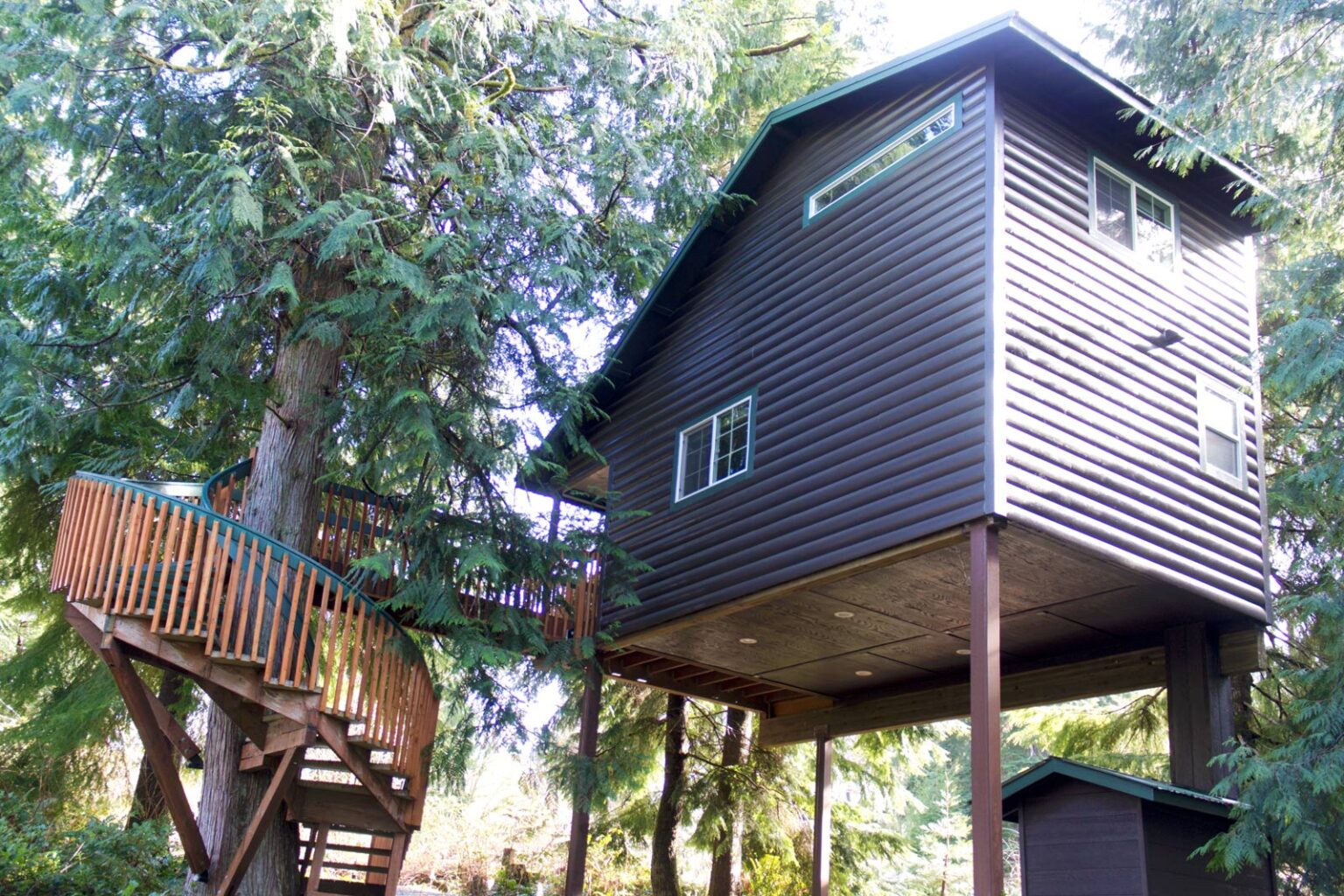 WSMAG.NET | A Lodge and Treehouse Experience on the Key Pen | Featured ...