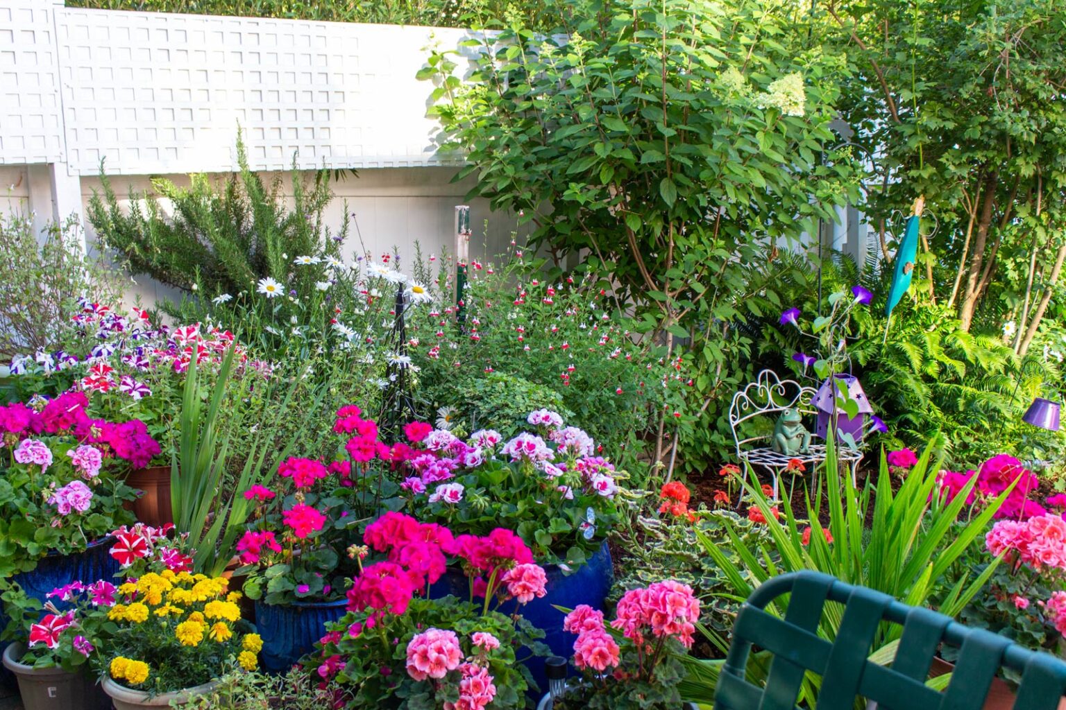 WSMAG.NET | Artistry and Imagination Create an Explosion of Color ...