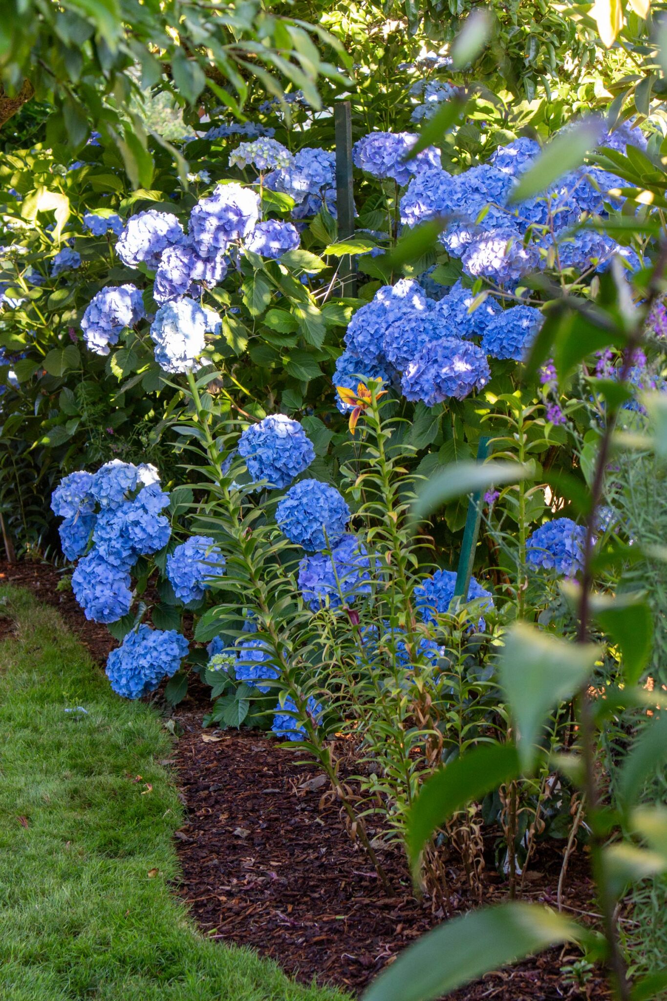 WSMAG.NET | Artistry and Imagination Create an Explosion of Color ...