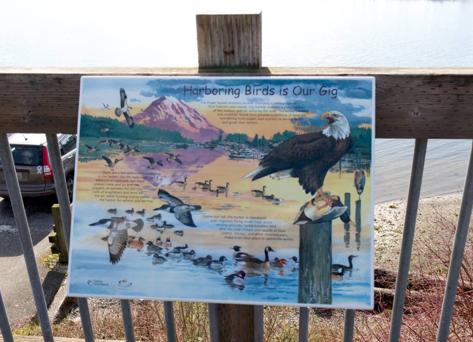 WSMAG.NET | A Walk Around Historic Gig Harbor | Featured, People ...