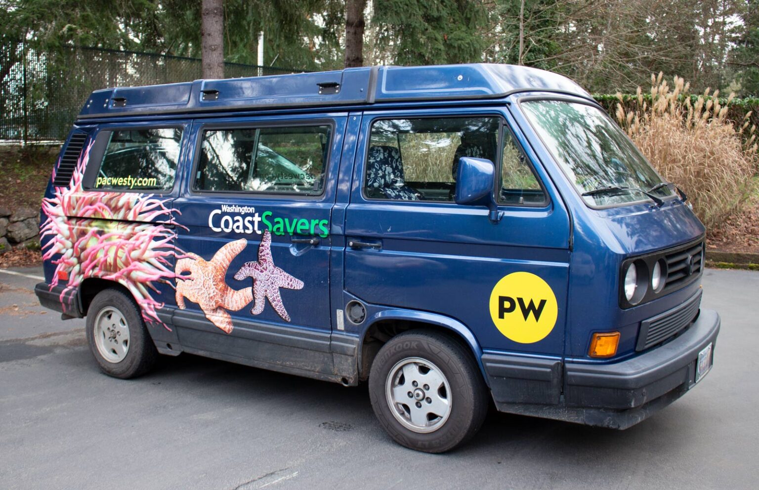 WSMAG.NET | High Energy Drives the Success of Bainbridge Island's ...