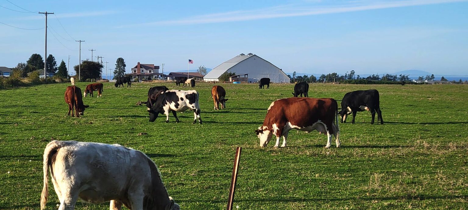 WSMAG.NET | The Growing Community of Sequim | Featured, People & Places ...