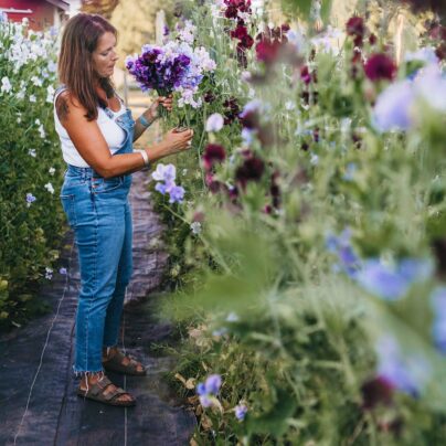 WSMAG.NET | A Dream with Petals | Featured, The Garden | September 22 ...