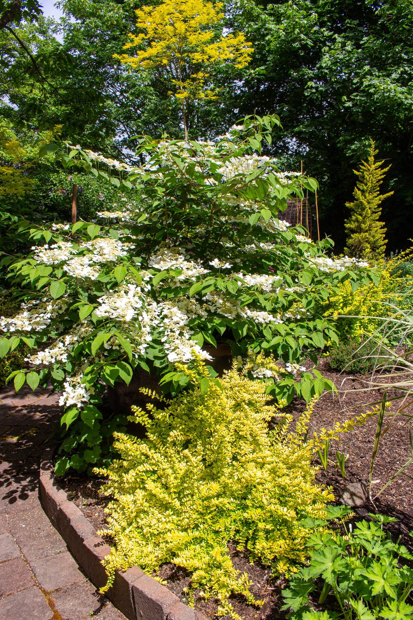 WSMAG.NET | A 'Real Garden' Thrives with Natural Habitat and Stunning ...