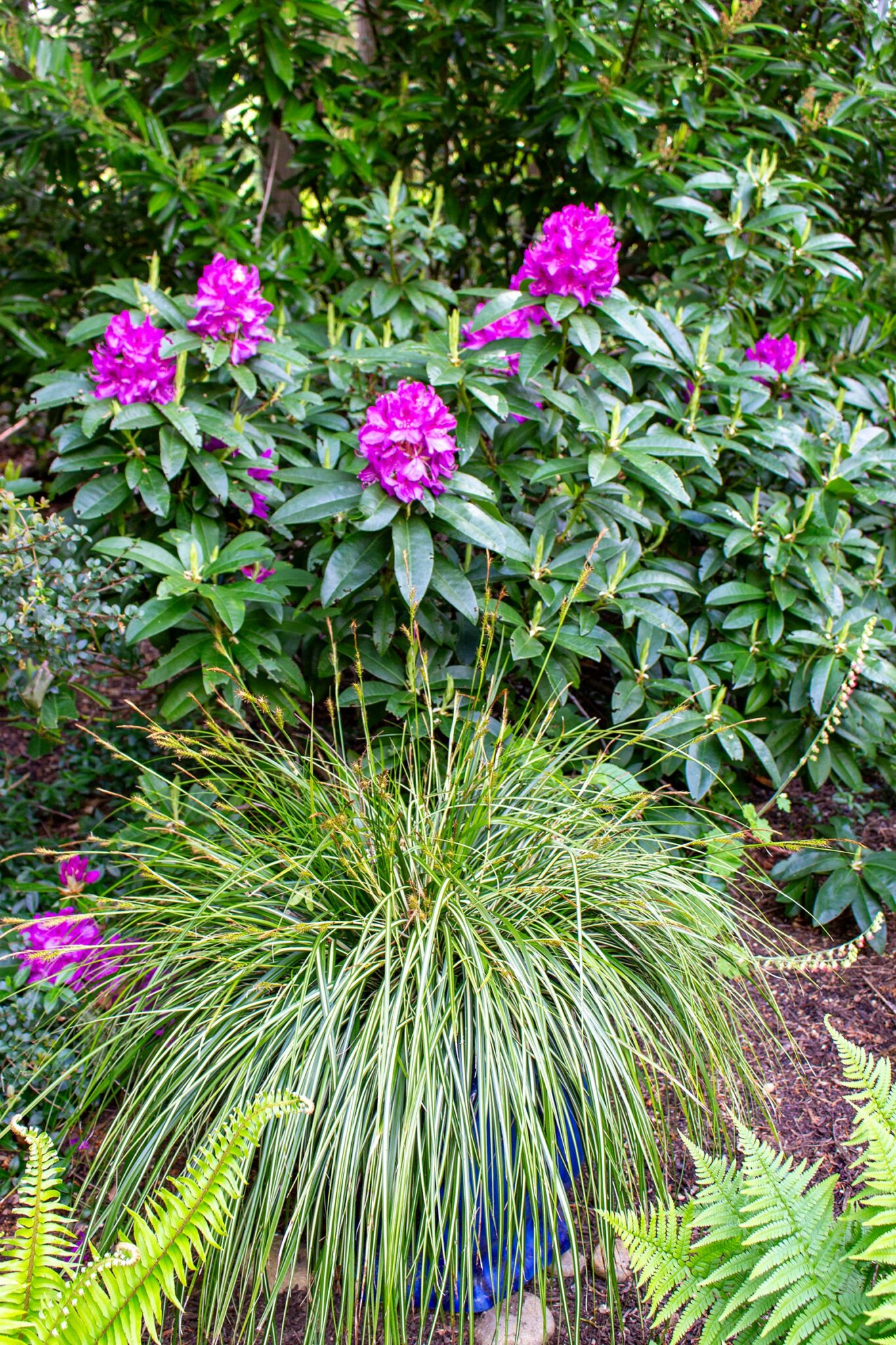 WSMAG.NET | A 'Real Garden' Thrives with Natural Habitat and Stunning ...