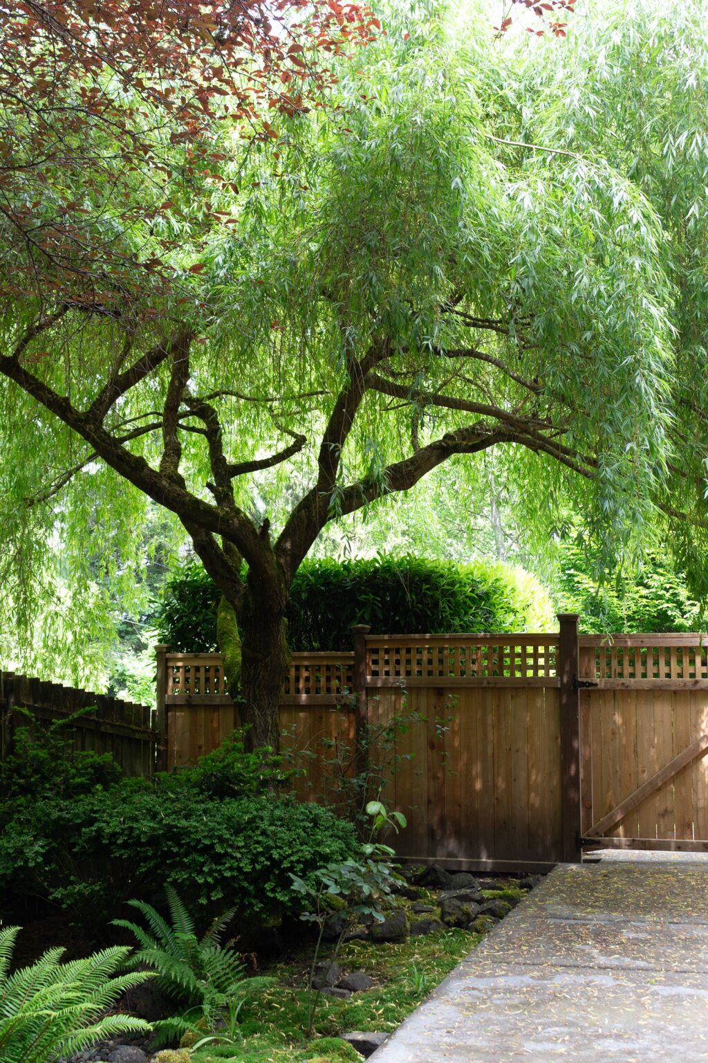 WSMAG.NET | A 'Real Garden' Thrives with Natural Habitat and Stunning ...