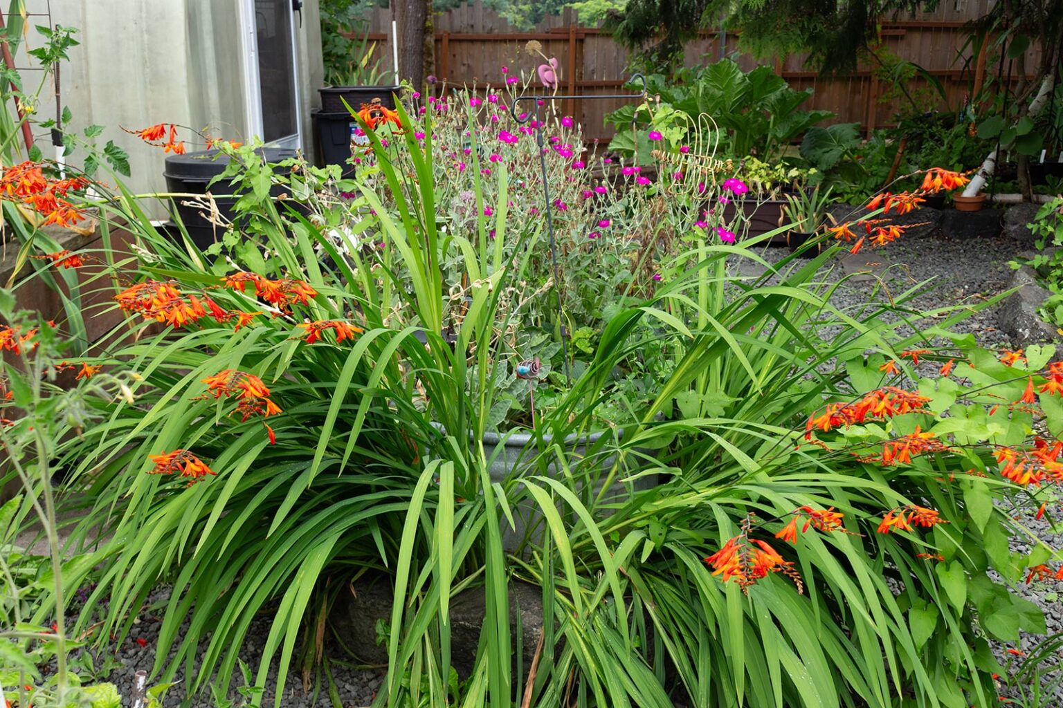 WSMAG.NET | The Abundant Gardens of Candy Gratton | Featured, The ...