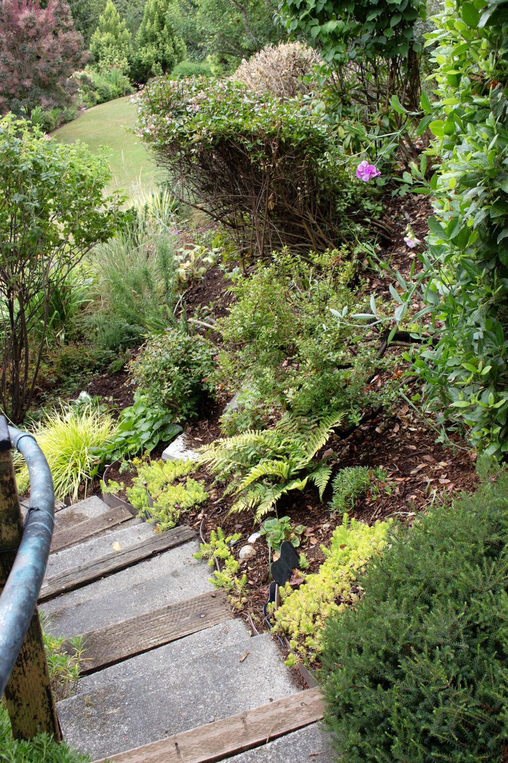 WSMAG.NET | The Luscious Gardens of Therry Frey and Michael Harrison ...