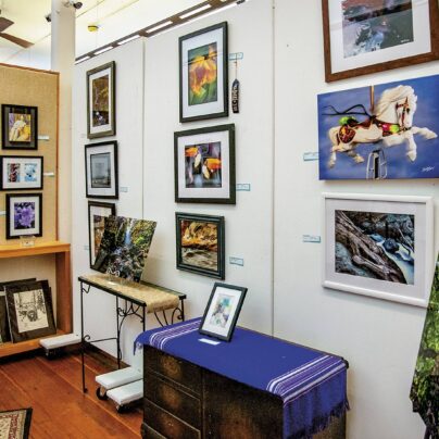 WSMAG.NET | Winners of the Helen Norris Annual Open Show | Featured ...