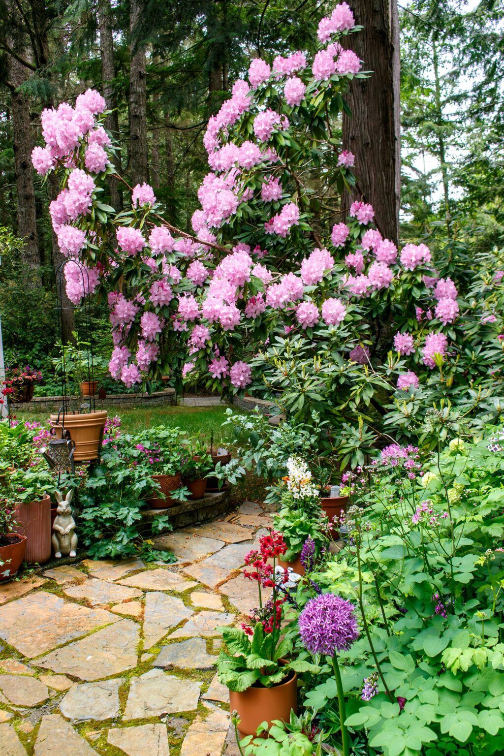 WSMAG.NET | The Profusely Abundant, Plant-Filled Garden of Jill and ...