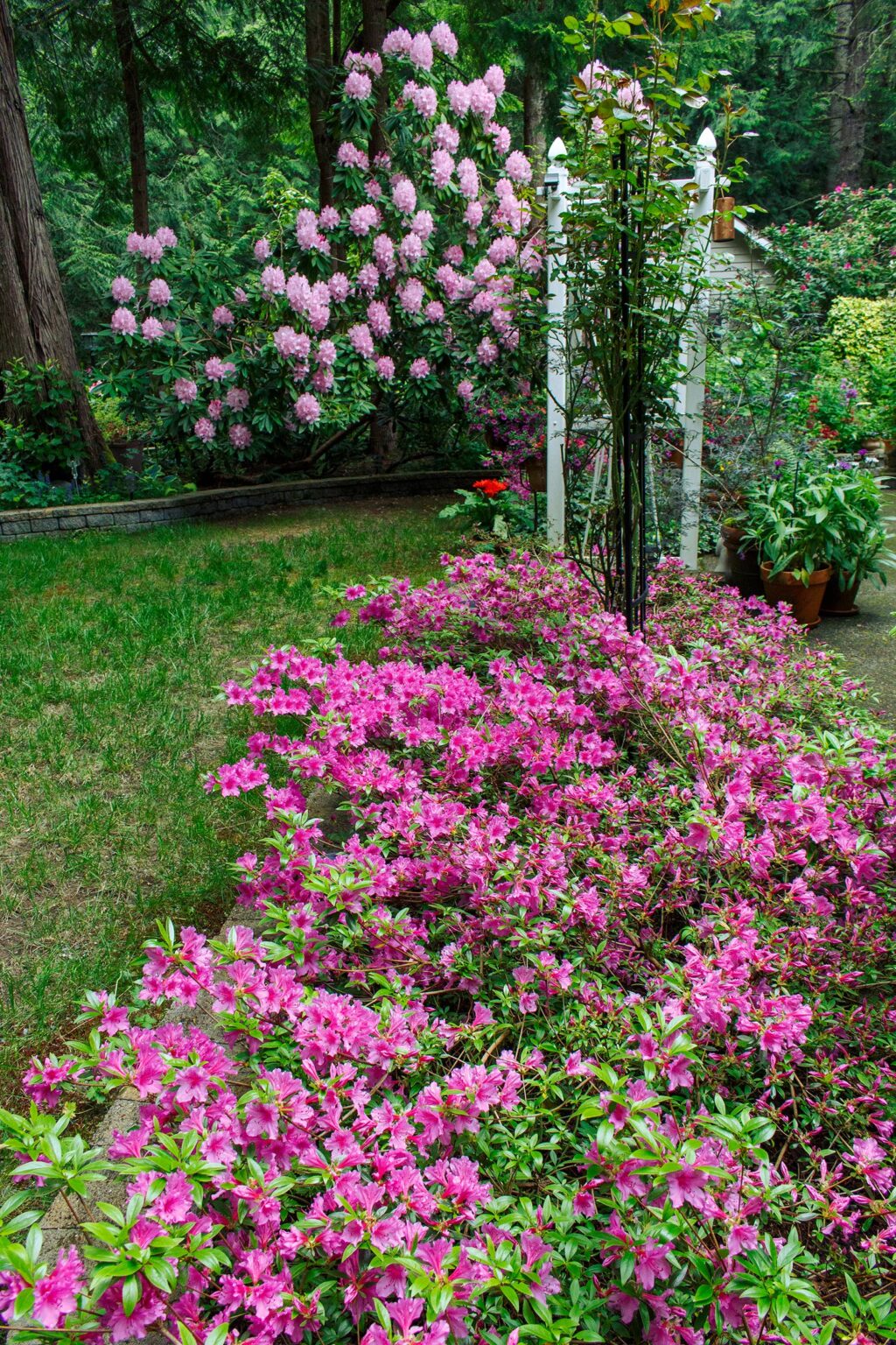 WSMAG.NET | The Profusely Abundant, Plant-Filled Garden of Jill and ...