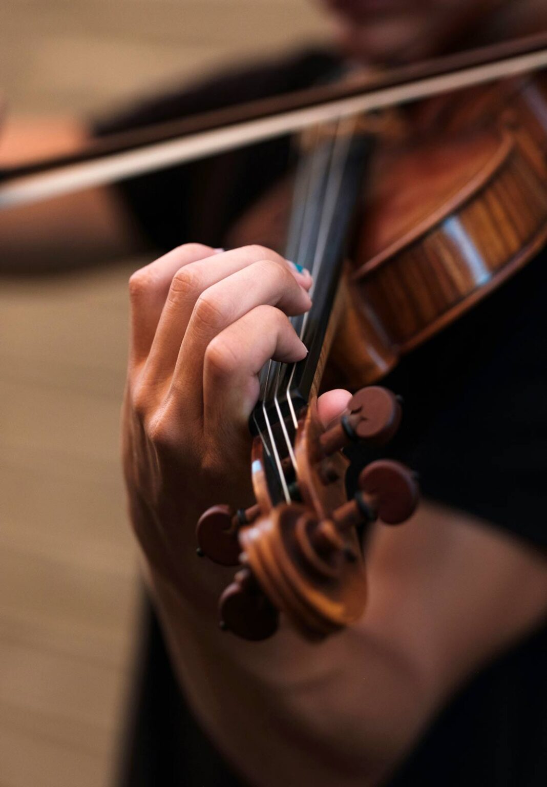 WSMAG.NET BLOG | Bainbridge Island Youth Orchestra Hosts Beginner ...